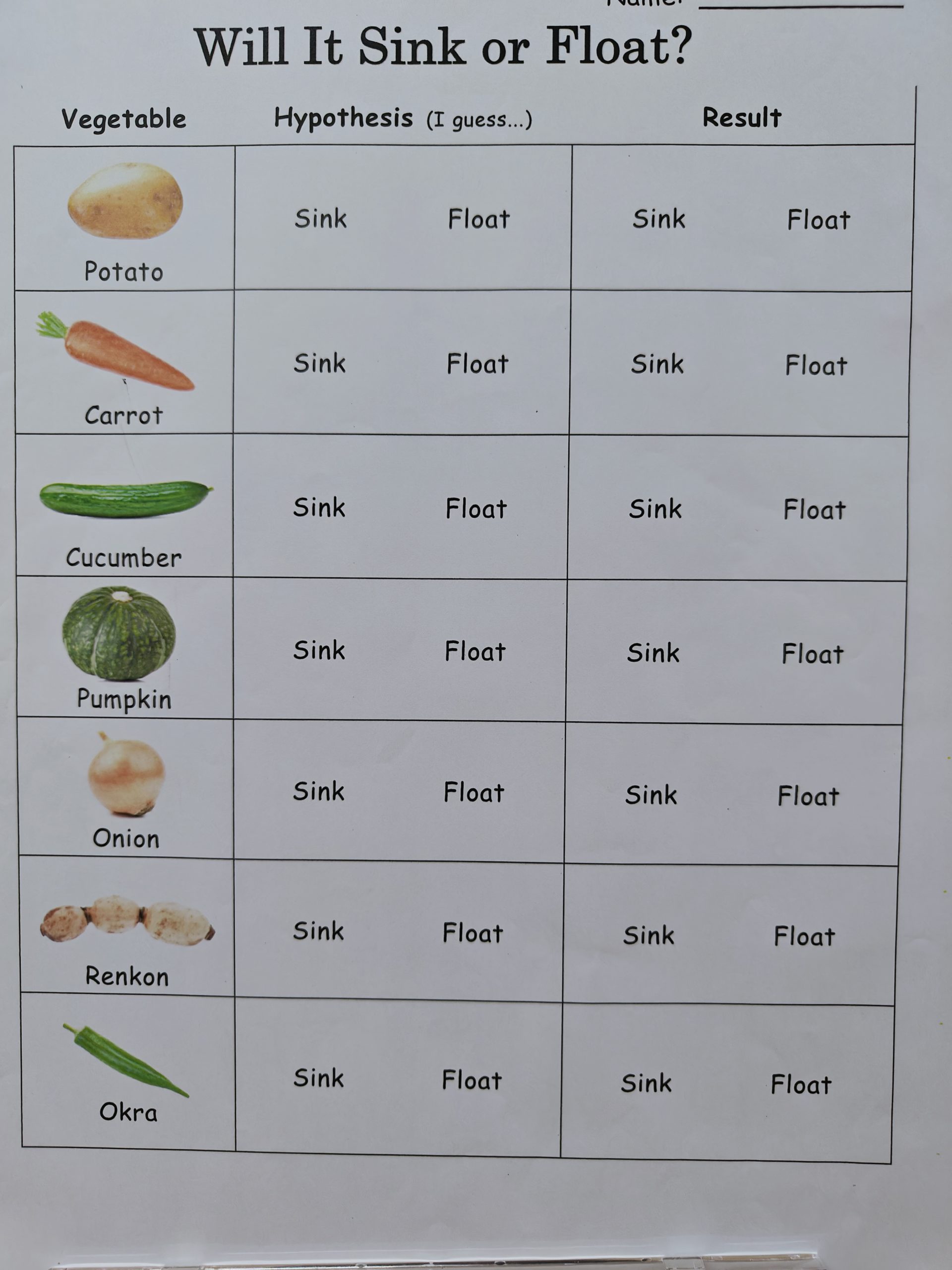 Sink of Float - Prime Academic Preschool 荻窪校（PAP荻窪）